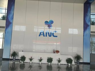China Jiangxi Anchi New Energy Technology Co.,Ltd (ANC) company profile